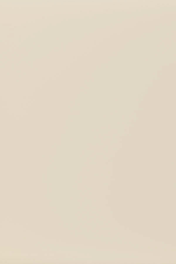 Sand Matte Back Painted Glass Cabinet Insert - Kitchen Craft